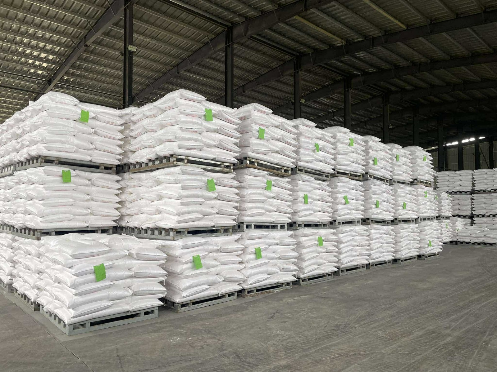 LS | Tapioca Starch Factory