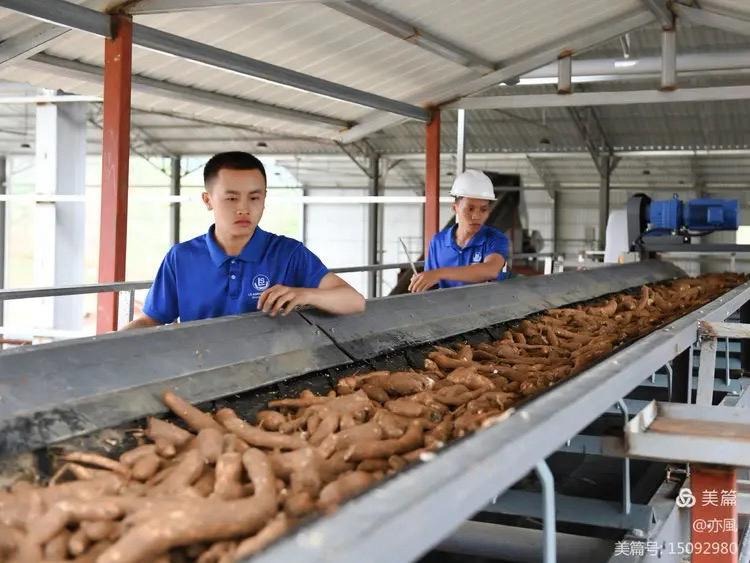 LS | Tapioca Starch Factory